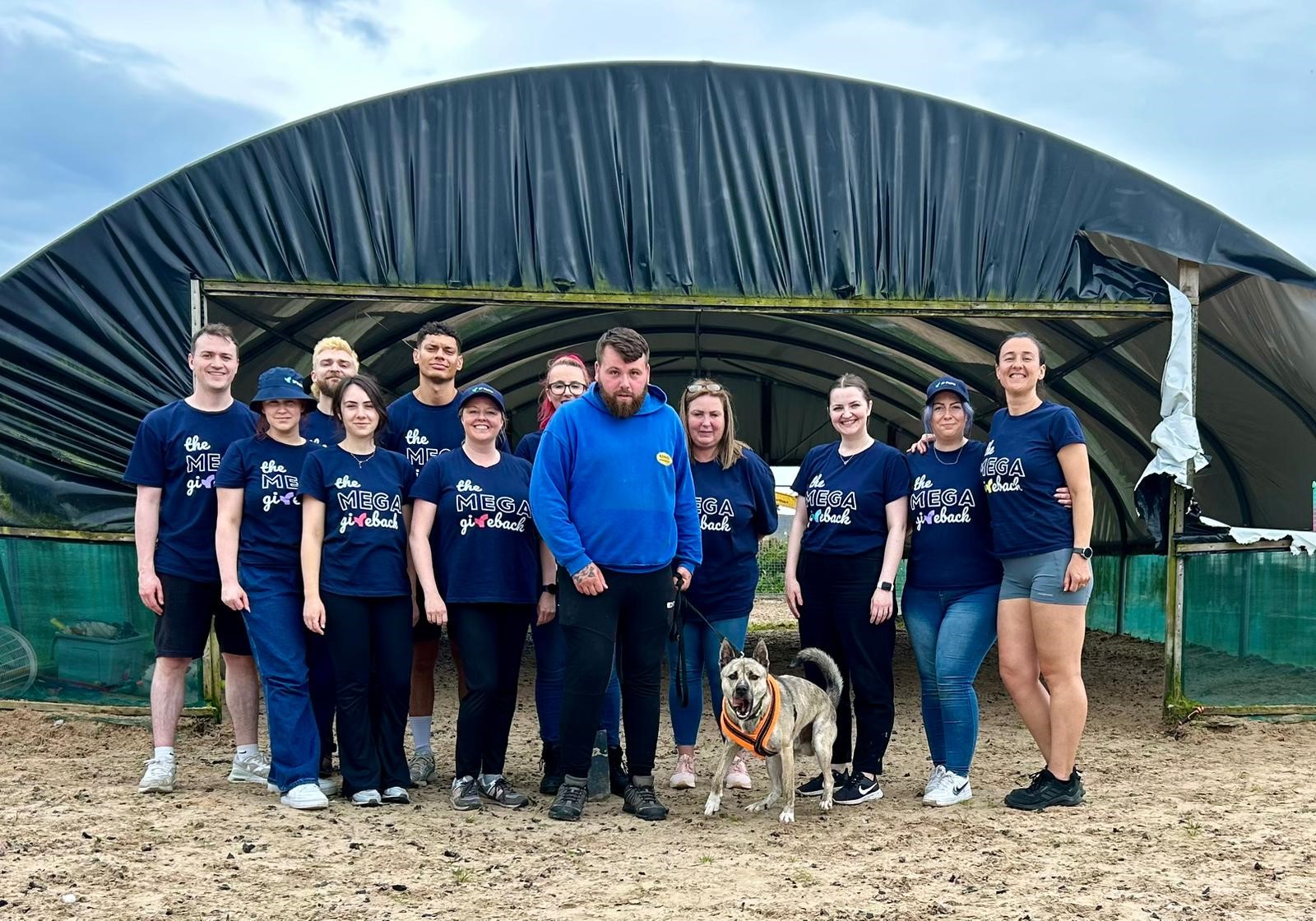 DF Capital’s Mega Giveback: 110 employees volunteer over 400 hours for ...